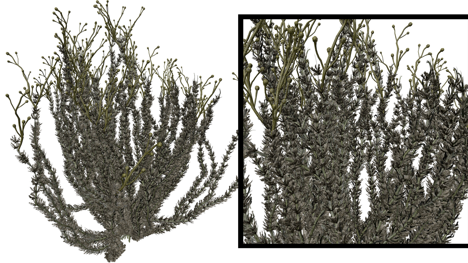 ArtStation - Sagebrush Bush #04 - High Poly Bush (3D Model) | Game Assets
