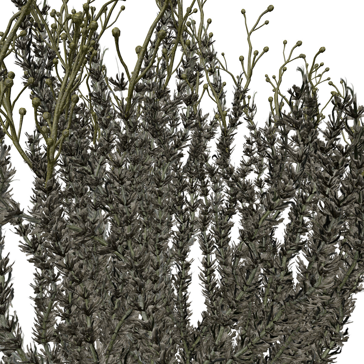 ArtStation - Sagebrush Bush #04 - High Poly Bush (3D Model) | Game Assets
