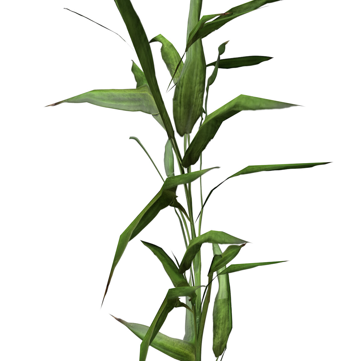 ArtStation - Switchcane #01 - High Poly Plant (3D Model) | Game Assets