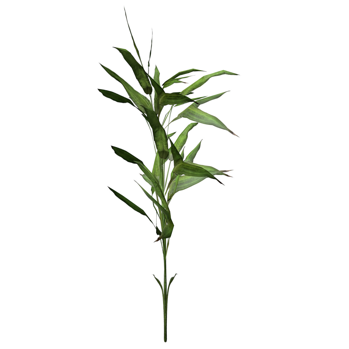 ArtStation - Switchcane #03 - High Poly Plant (3D Model) | Game Assets