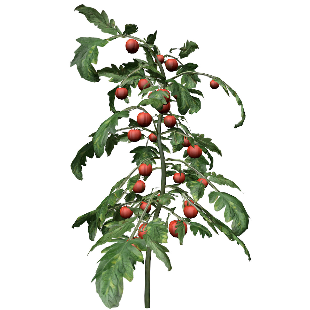 ArtStation - Tomato Plant #02 - High Poly Plant (3D Model) | Game Assets