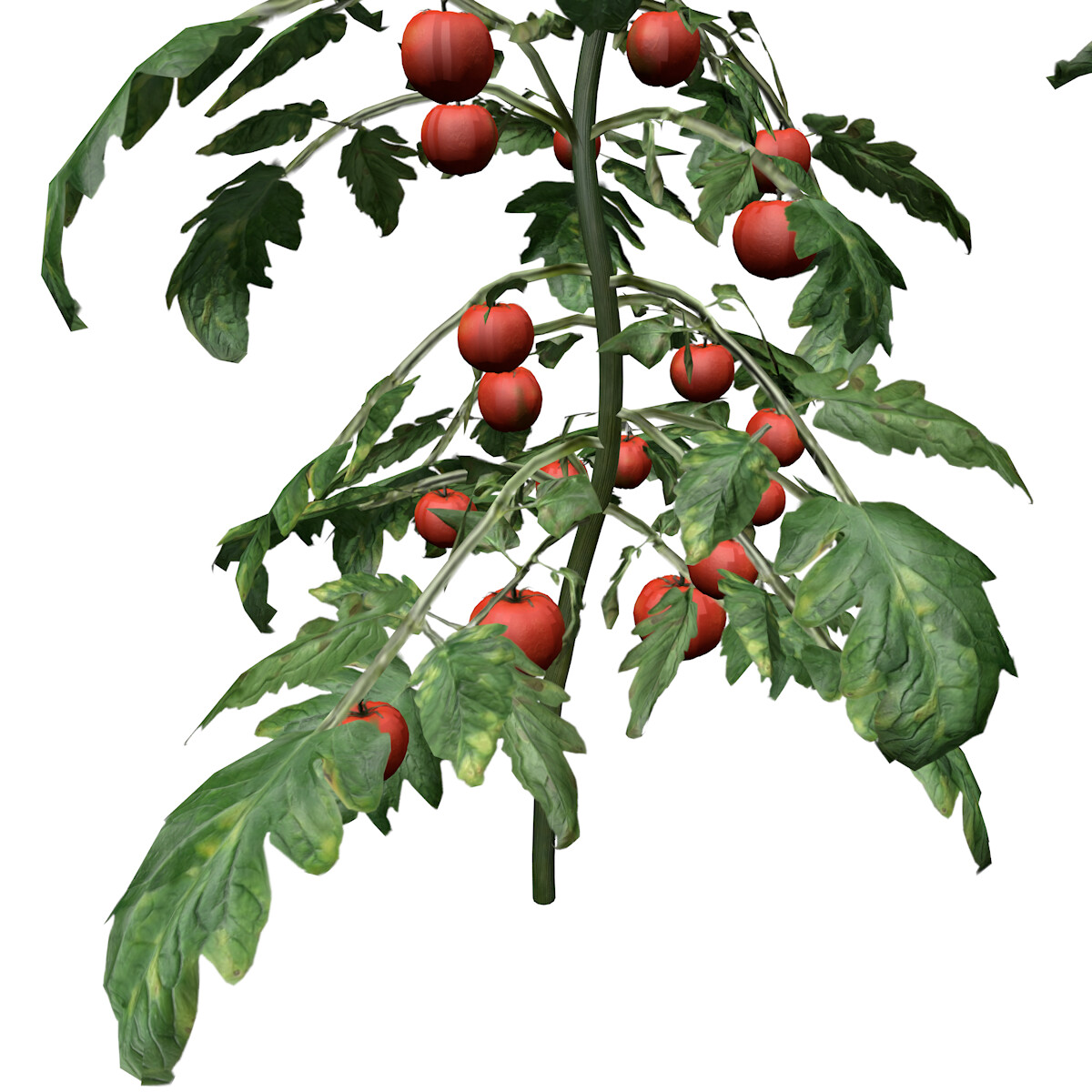 ArtStation - Tomato Plant #02 - High Poly Plant (3D Model) | Game Assets