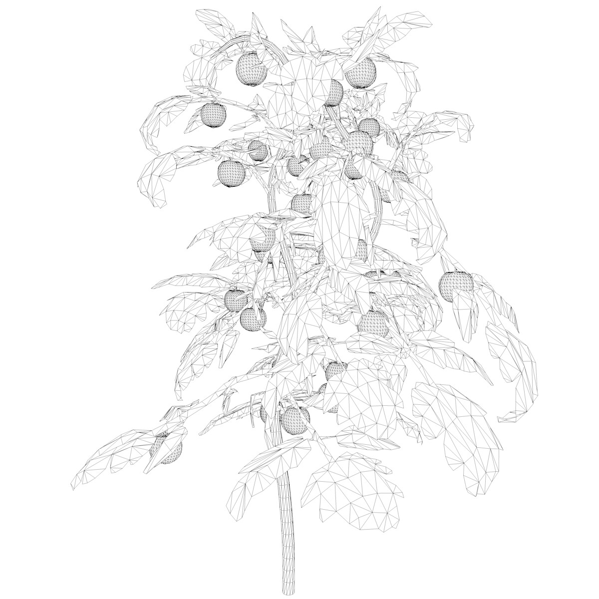 ArtStation - Tomato Plant #03 - High Poly Plant (3D Model) | Game Assets