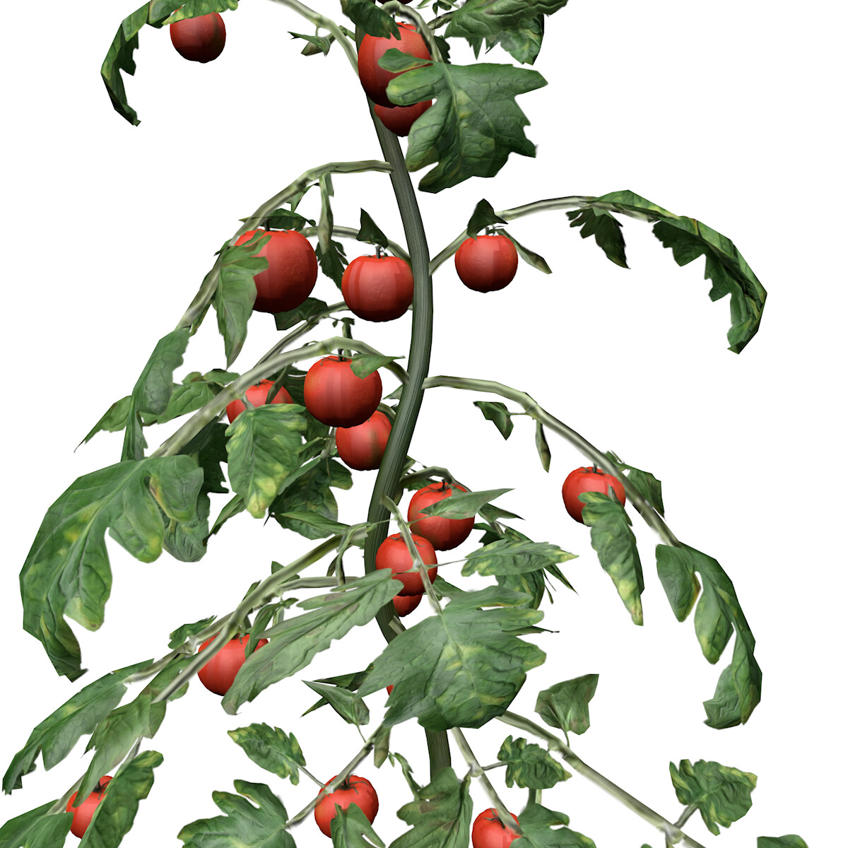 ArtStation - Tomato Plant #04 - High Poly Plant (3D Model) | Game Assets