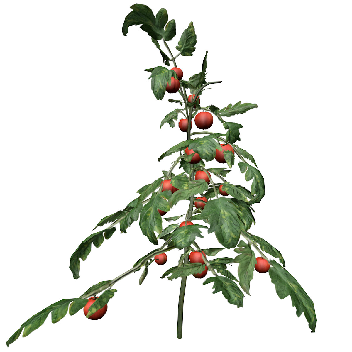 ArtStation - Tomato Plant #05 - High Poly Plant (3D Model) | Game Assets