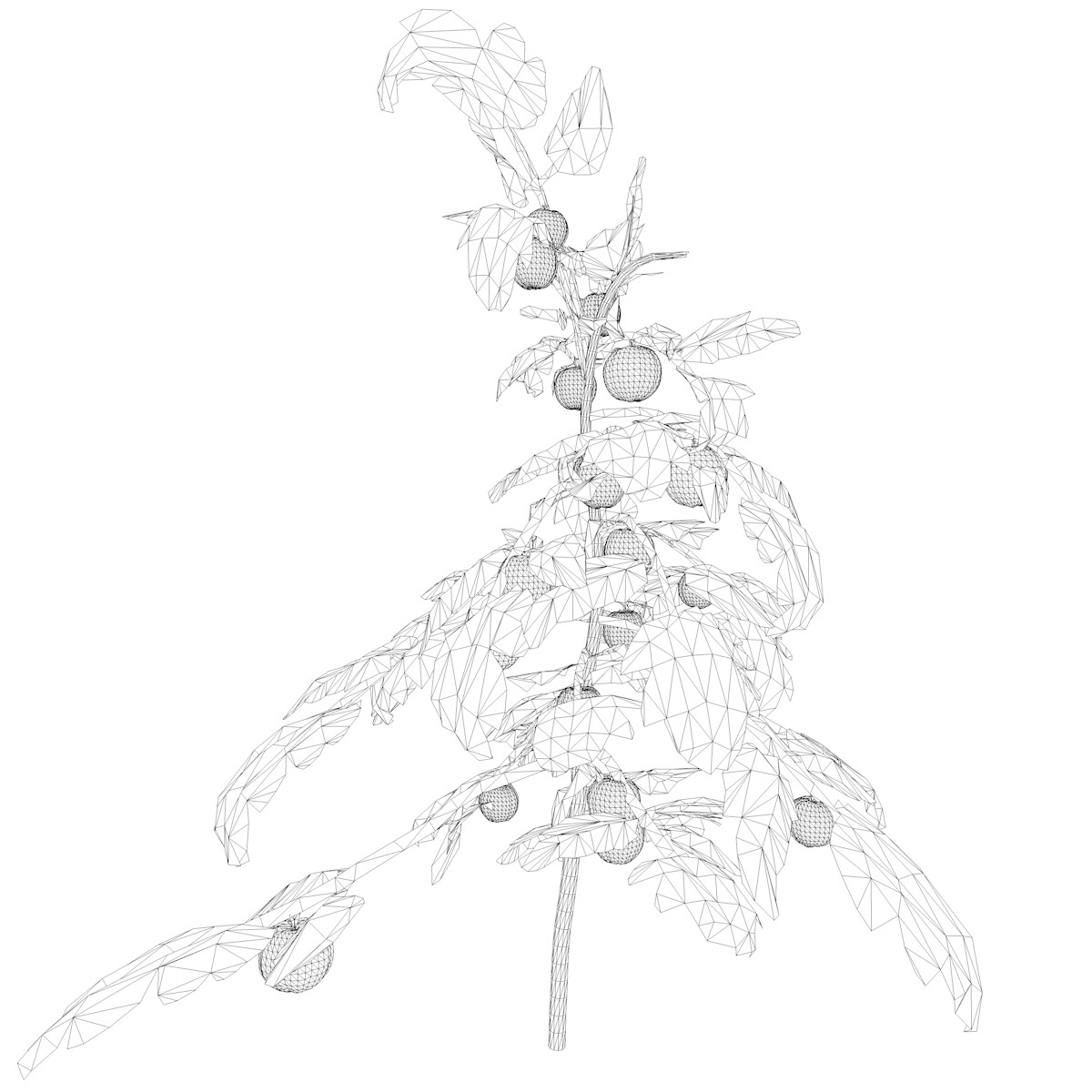 ArtStation - Tomato Plant #05 - High Poly Plant (3D Model) | Game Assets