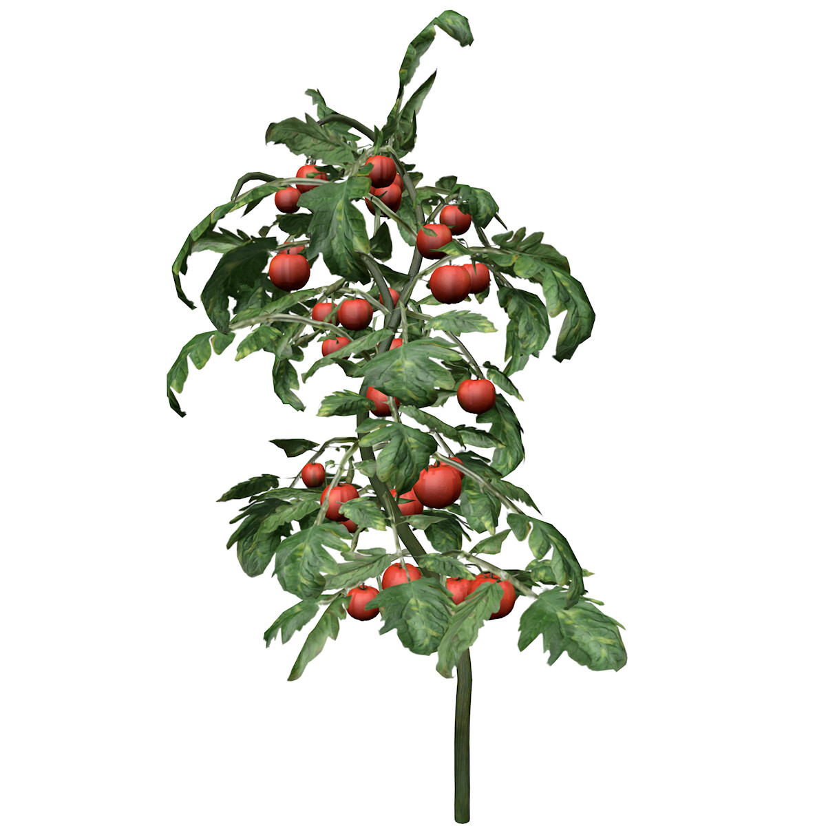 ArtStation - Tomato Plant #08 - High Poly Plant (3D Model) | Game Assets