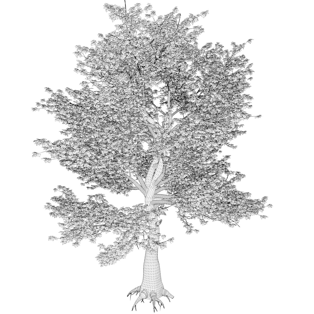 ArtStation - American Sycamore Tree #04 - High Poly Tree (3D Model ...