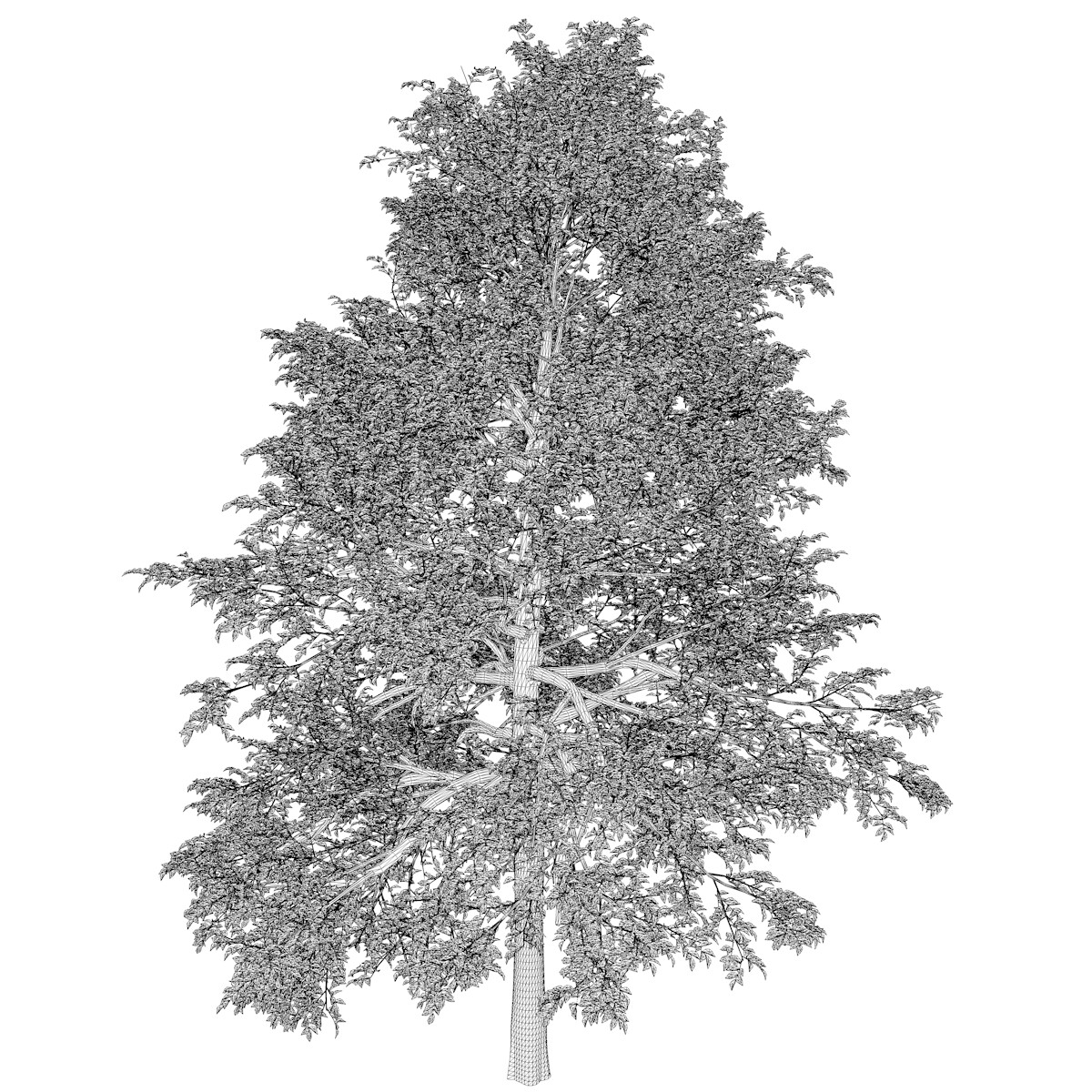 ArtStation - Black Gum Tree #04 - High Poly Tree (3D Model) | Game Assets
