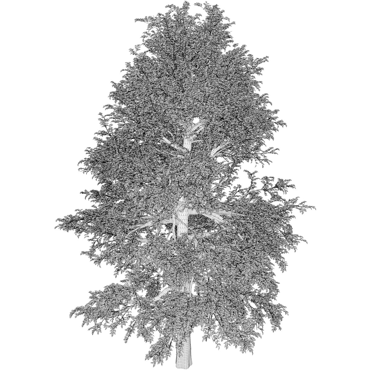ArtStation - Black Gum Tree #08 - High Poly Tree (3D Model) | Game Assets