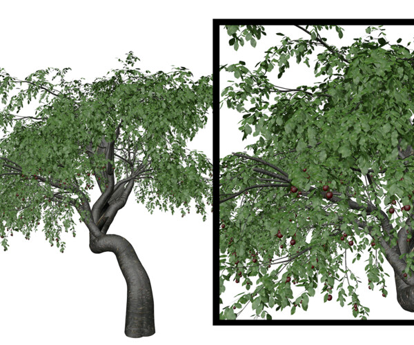 ArtStation - Cherry Tree #04 - High Poly Tree (3D Model) | Game Assets