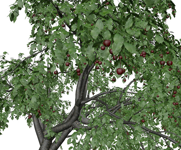 ArtStation - Cherry Tree #06 - High Poly Tree (3D Model) | Game Assets
