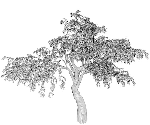 ArtStation - Cherry Tree #10 - High Poly Tree (3D Model) | Game Assets
