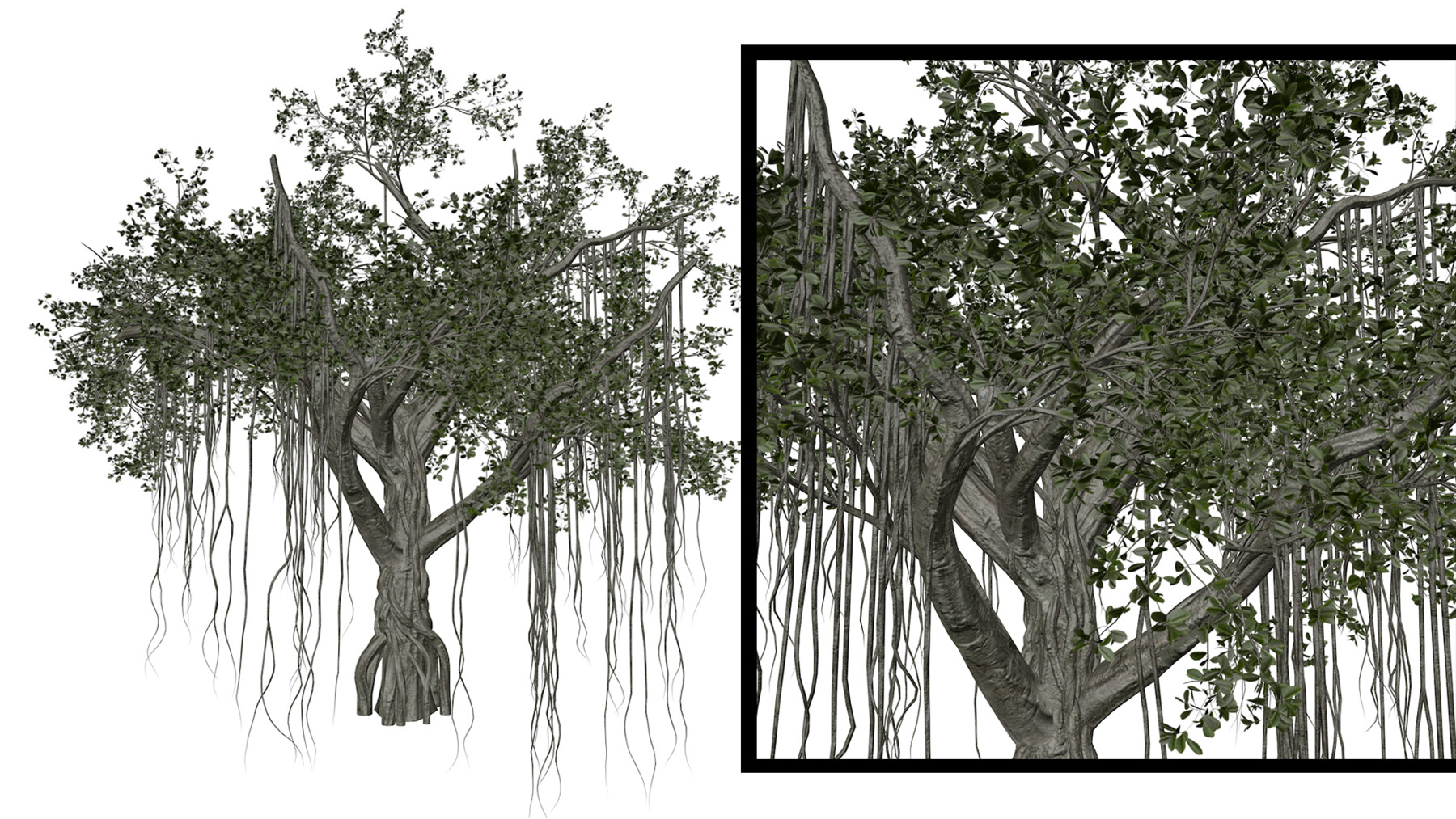 ArtStation - Chinese Banyan Tree #02 - High Poly Tree (3D Model) | Game ...