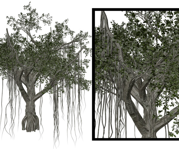 ArtStation - Chinese Banyan Tree #02 - High Poly Tree (3D Model) | Game ...