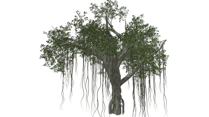 ArtStation - Chinese Banyan Tree #02 - High Poly Tree (3D Model) | Game ...