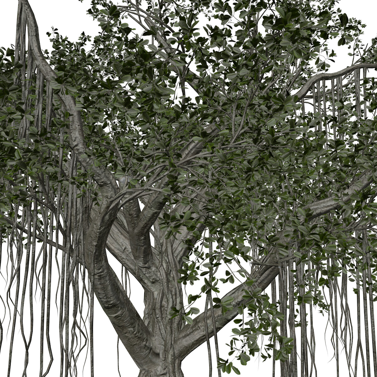 ArtStation - Chinese Banyan Tree #02 - High Poly Tree (3D Model) | Game ...
