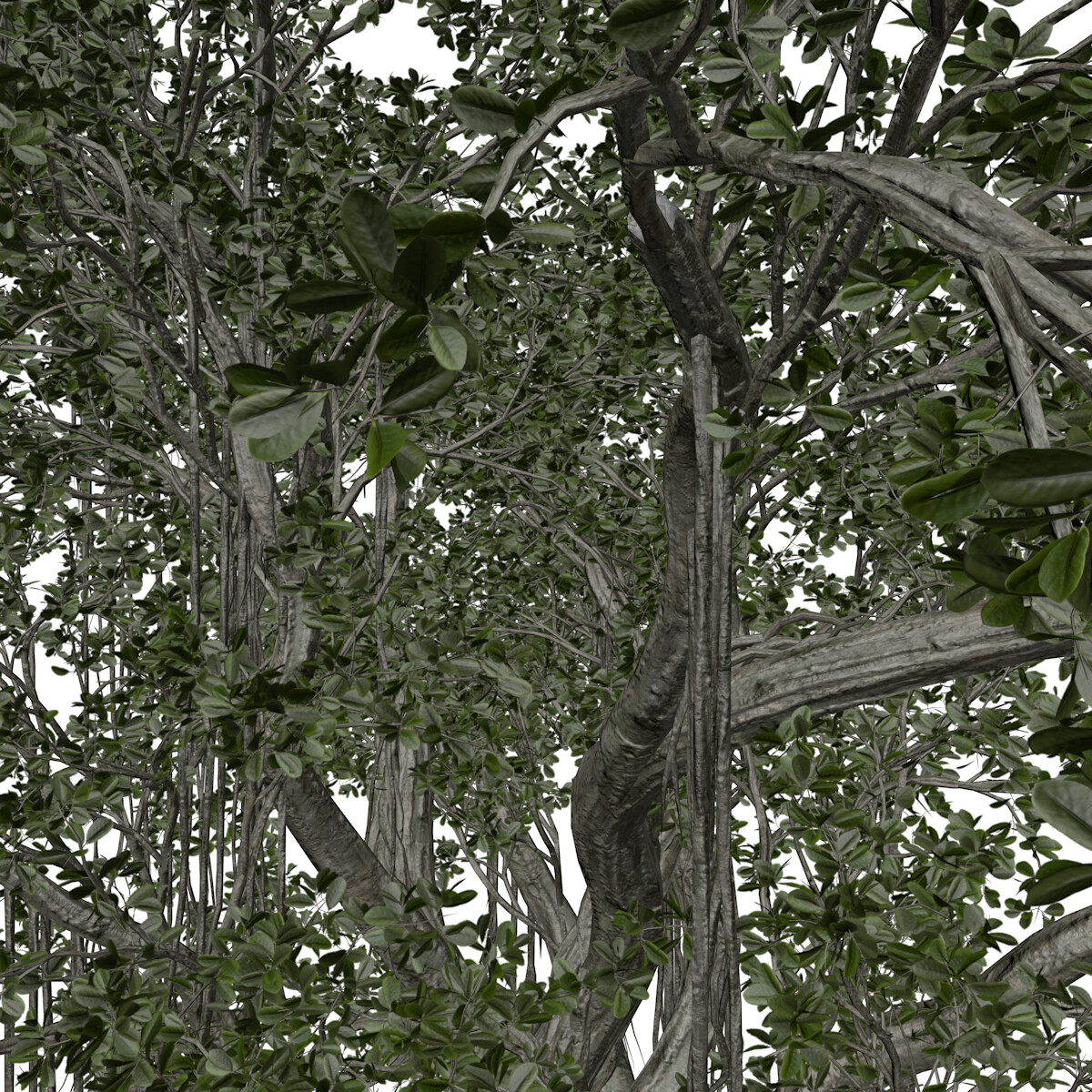 ArtStation - Chinese Banyan Tree #03 - High Poly Tree (3D Model) | Game ...