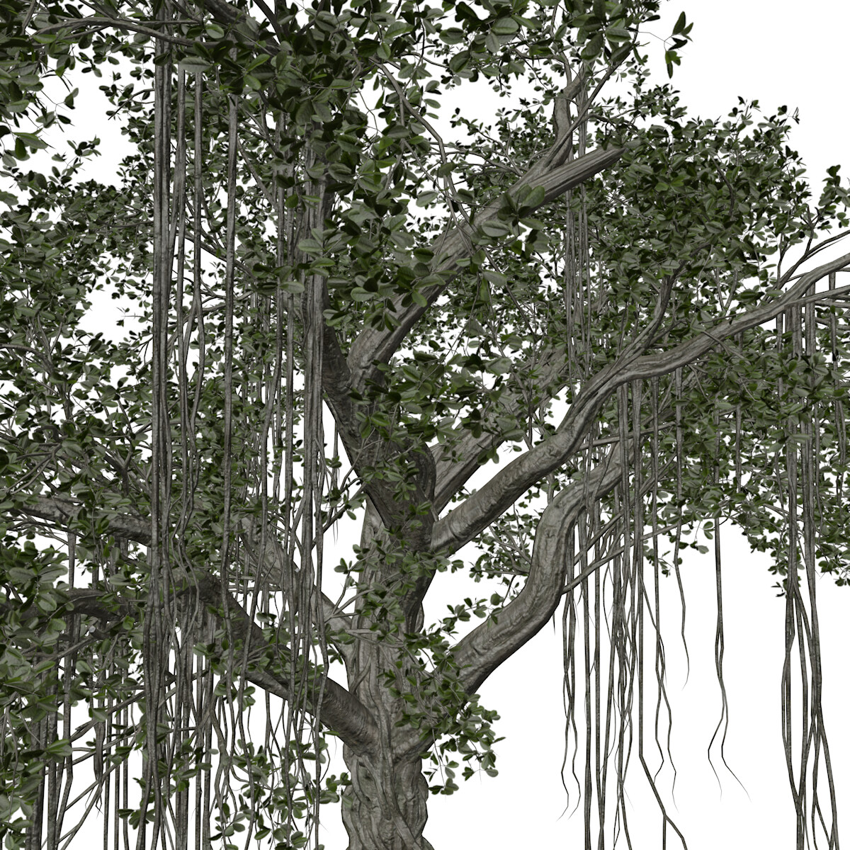 ArtStation - Chinese Banyan Tree #04 - High Poly Tree (3D Model) | Game ...