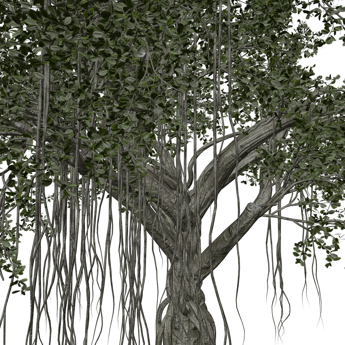 ArtStation - Chinese Banyan Tree #06 - High Poly Tree (3D Model) | Game ...