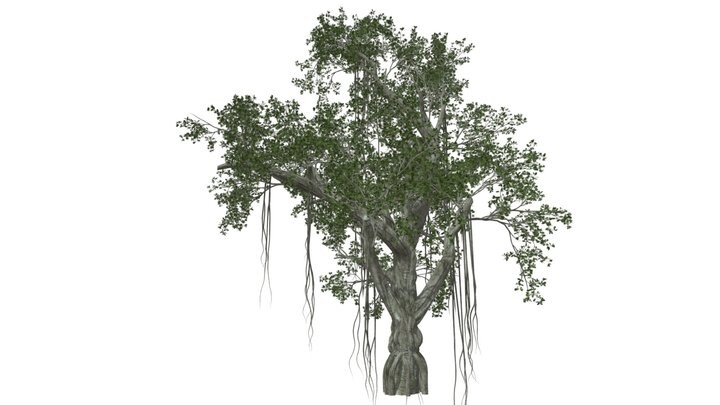 ArtStation - Chinese Banyan Tree #07 - High Poly Tree (3D Model) | Game ...