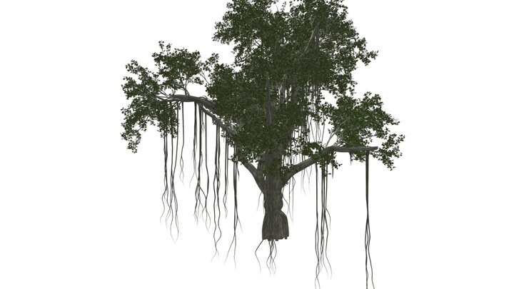 ArtStation - Chinese Banyan Tree #08 - High Poly Tree (3D Model) | Game ...