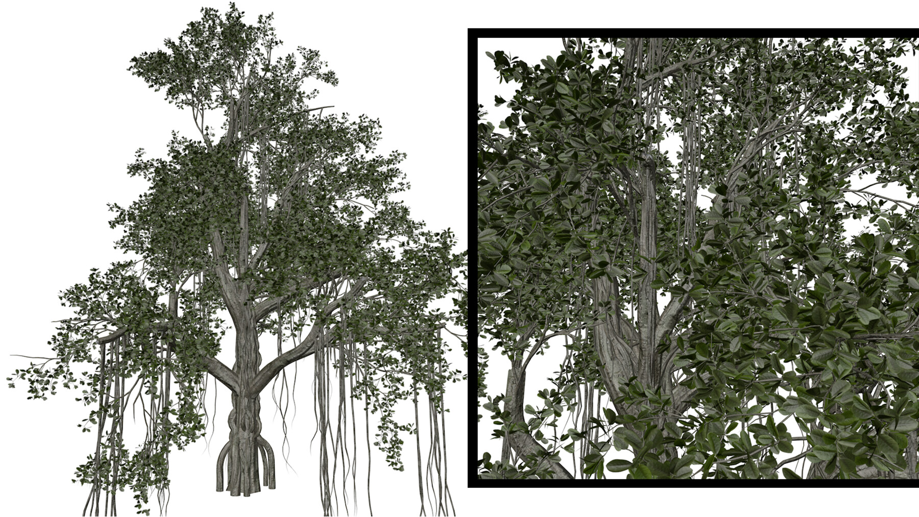 ArtStation - Chinese Banyan Tree #09 - High Poly Tree (3D Model) | Game ...