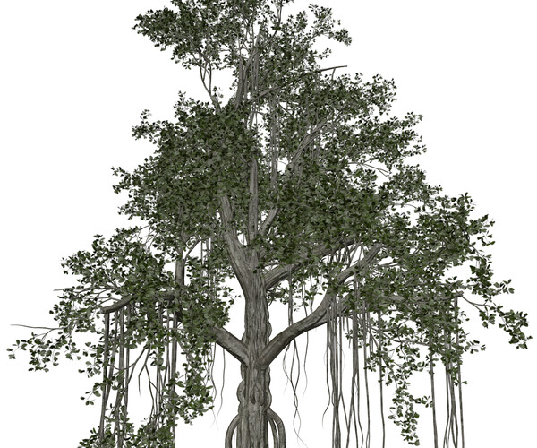 ArtStation - Chinese Banyan Tree #09 - High Poly Tree (3D Model) | Game ...