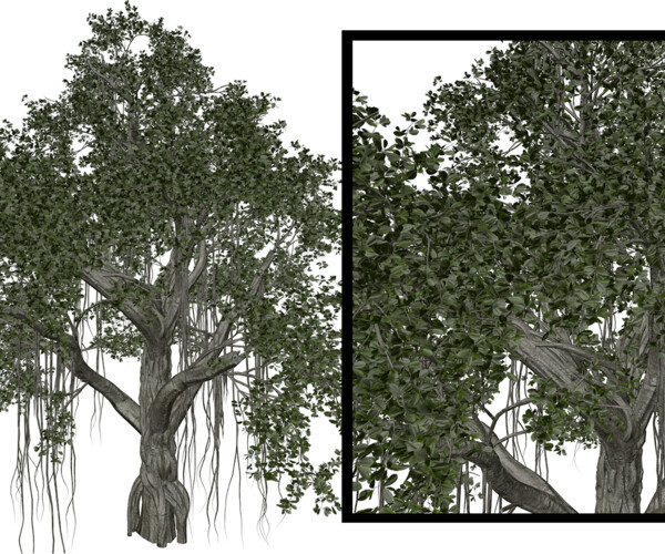 ArtStation - Chinese Banyan Tree #10 - High Poly Tree (3D Model) | Game ...