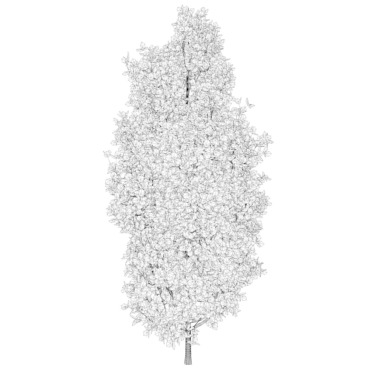 ArtStation - Cypress Oak Tree #09 - High Poly Tree (3D Model) | Game Assets