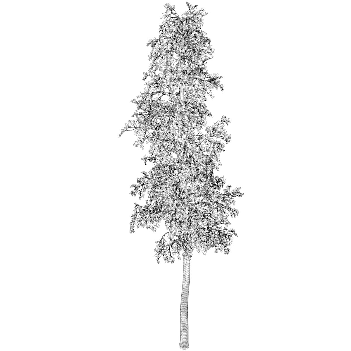 ArtStation - European Aspen Tree #03 - High Poly Tree (3D Model) | Game ...
