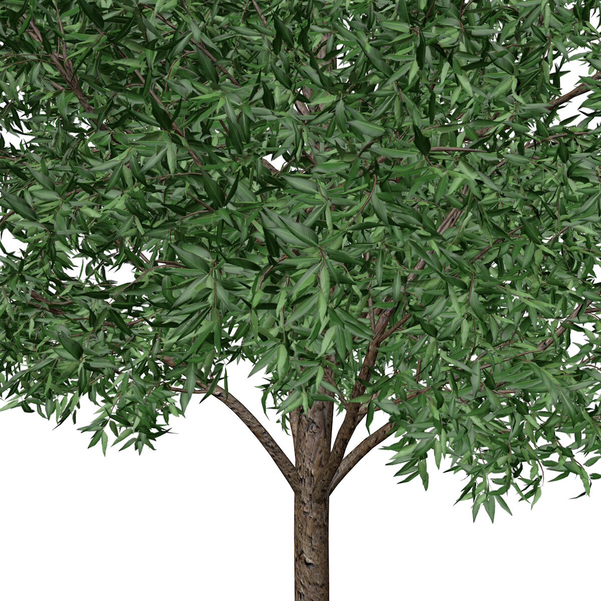 ArtStation - Flooded Gum Tree #05 - High Poly Tree (3D Model) | Game Assets