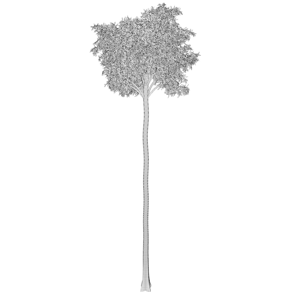 ArtStation - Flooded Gum Tree #06 - High Poly Tree (3D Model) | Game Assets