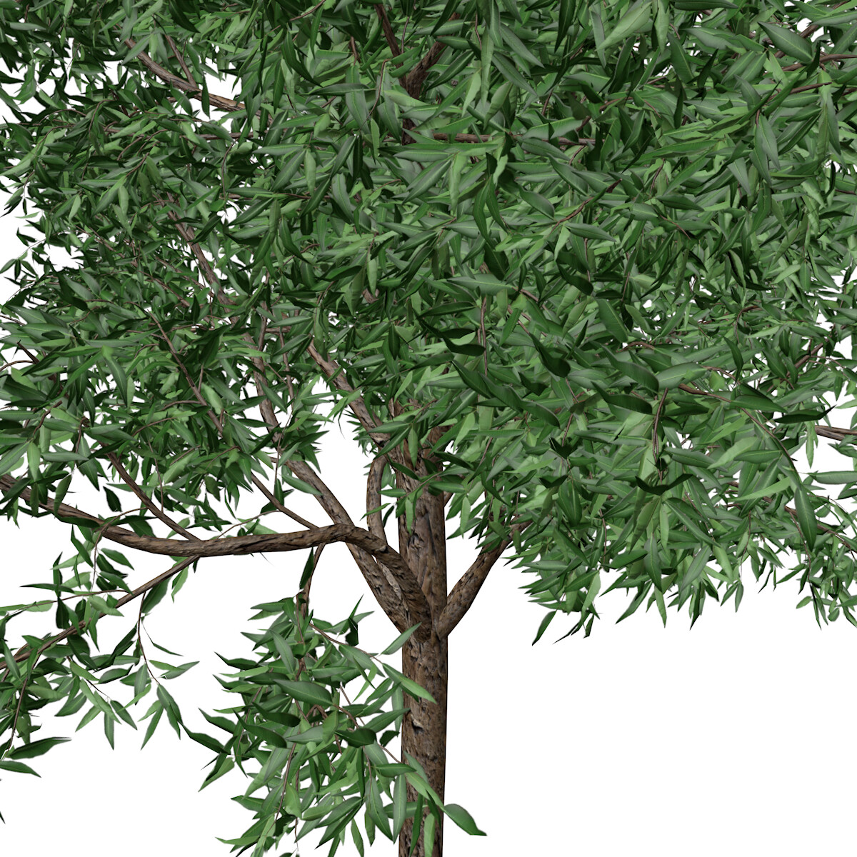 ArtStation - Flooded Gum Tree #07 - High Poly Tree (3D Model) | Game Assets