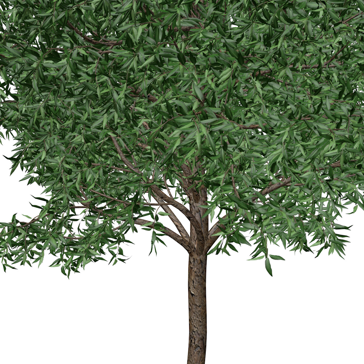 ArtStation - Flooded Gum Tree #09 - High Poly Tree (3D Model) | Game Assets