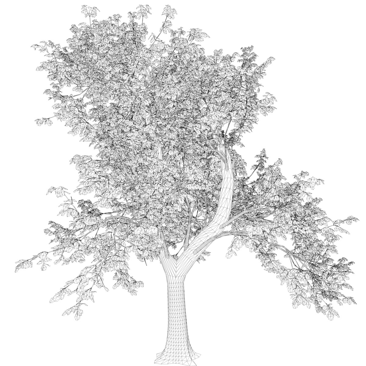 ArtStation - Green Ash Tree #02 - High Poly Tree (3D Model) | Game Assets