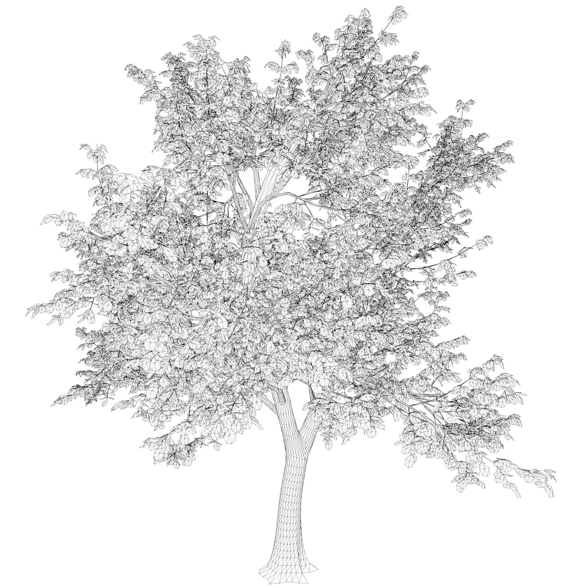 ArtStation - Green Ash Tree #10 - High Poly Tree (3D Model) | Game Assets