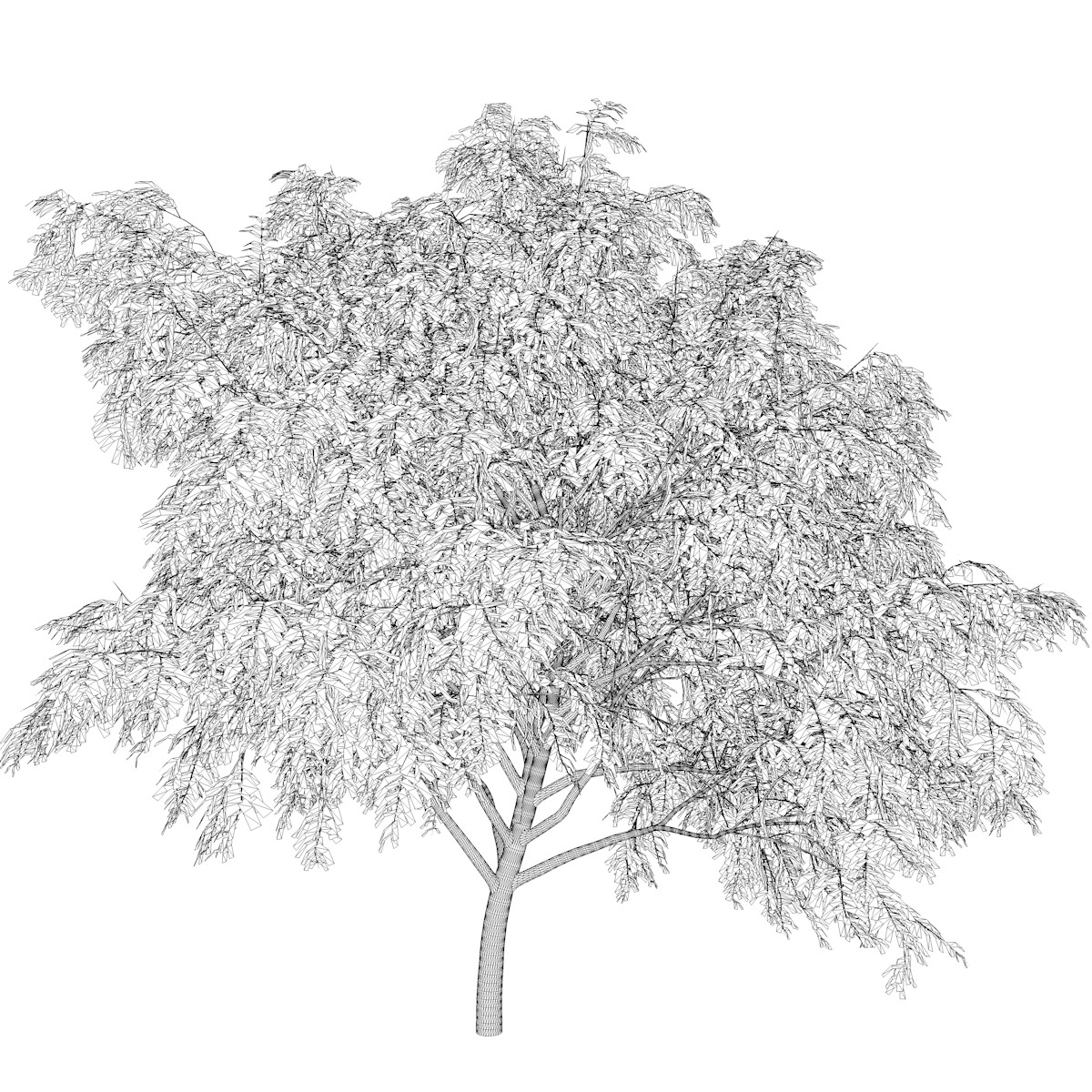 ArtStation - Honey Mesquite Tree #05 - High Poly Tree (3D Model) | Game ...