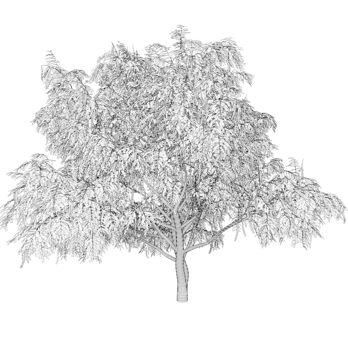 ArtStation - Honey Mesquite Tree #08 - High Poly Tree (3D Model) | Game ...