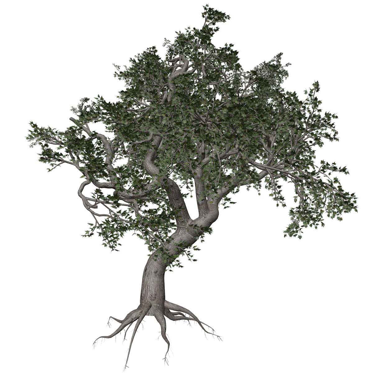 ArtStation - Japanese Maple Tree #04 - High Poly Tree (3D Model) | Game ...