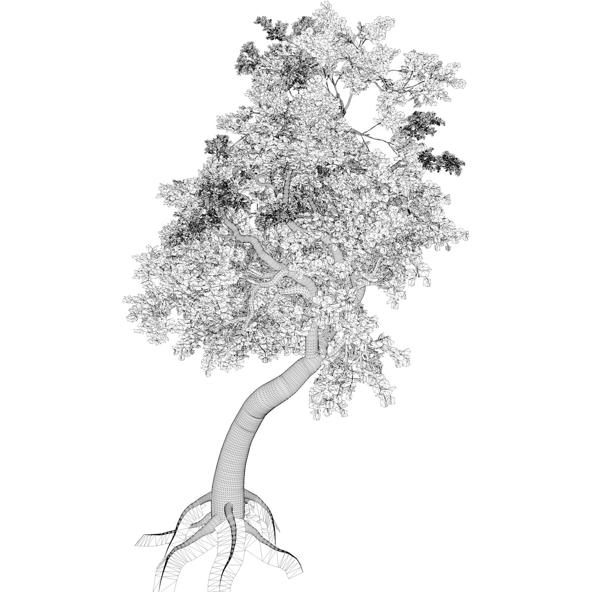 ArtStation - Japanese Maple Tree #10 - High Poly Tree (3D Model) | Game ...