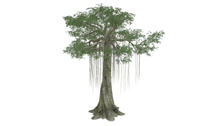 ArtStation - Kapok Tree #08 - High Poly Tree (3D Model) | Game Assets