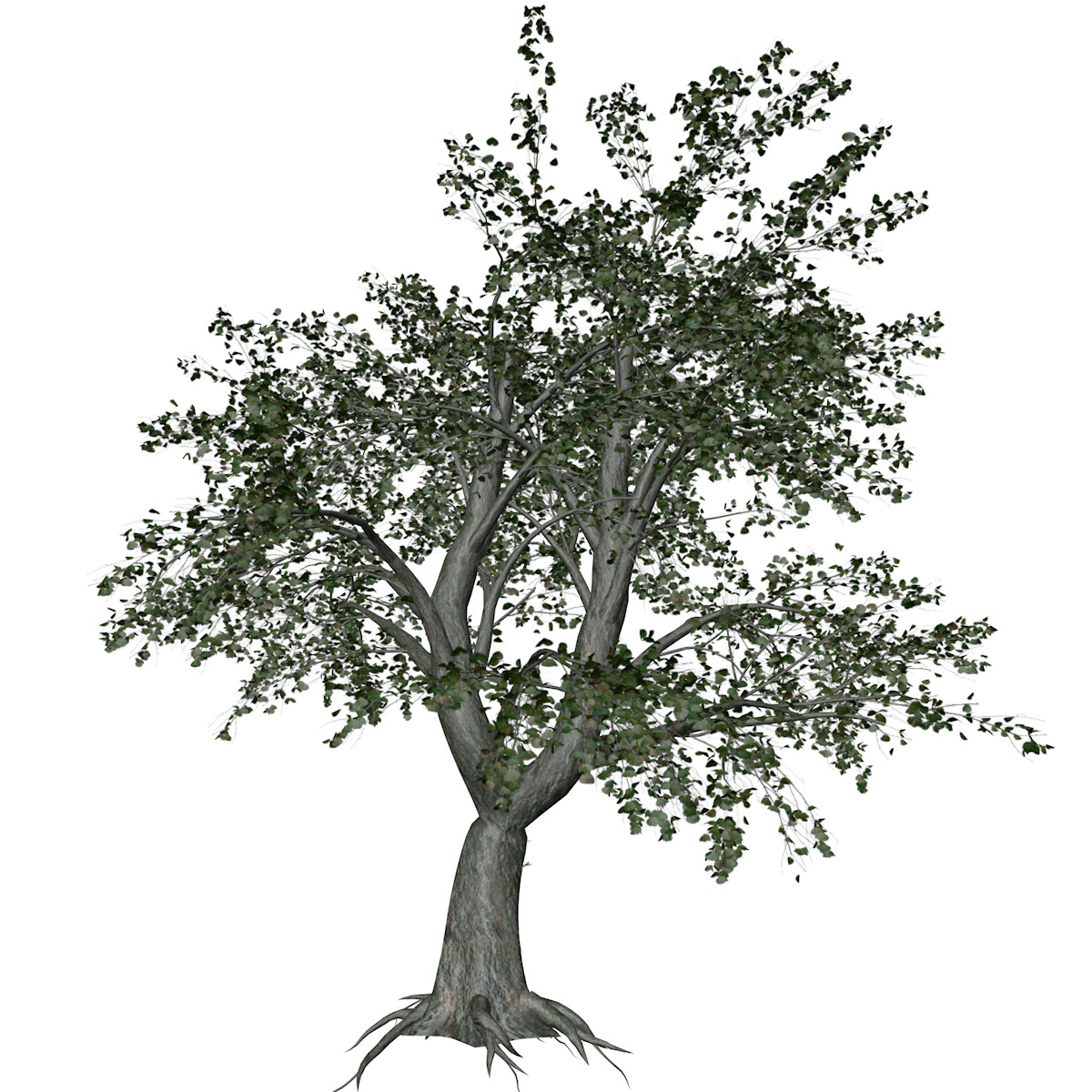 ArtStation - Katsura Tree #08 - High Poly Tree (3D Model) | Game Assets