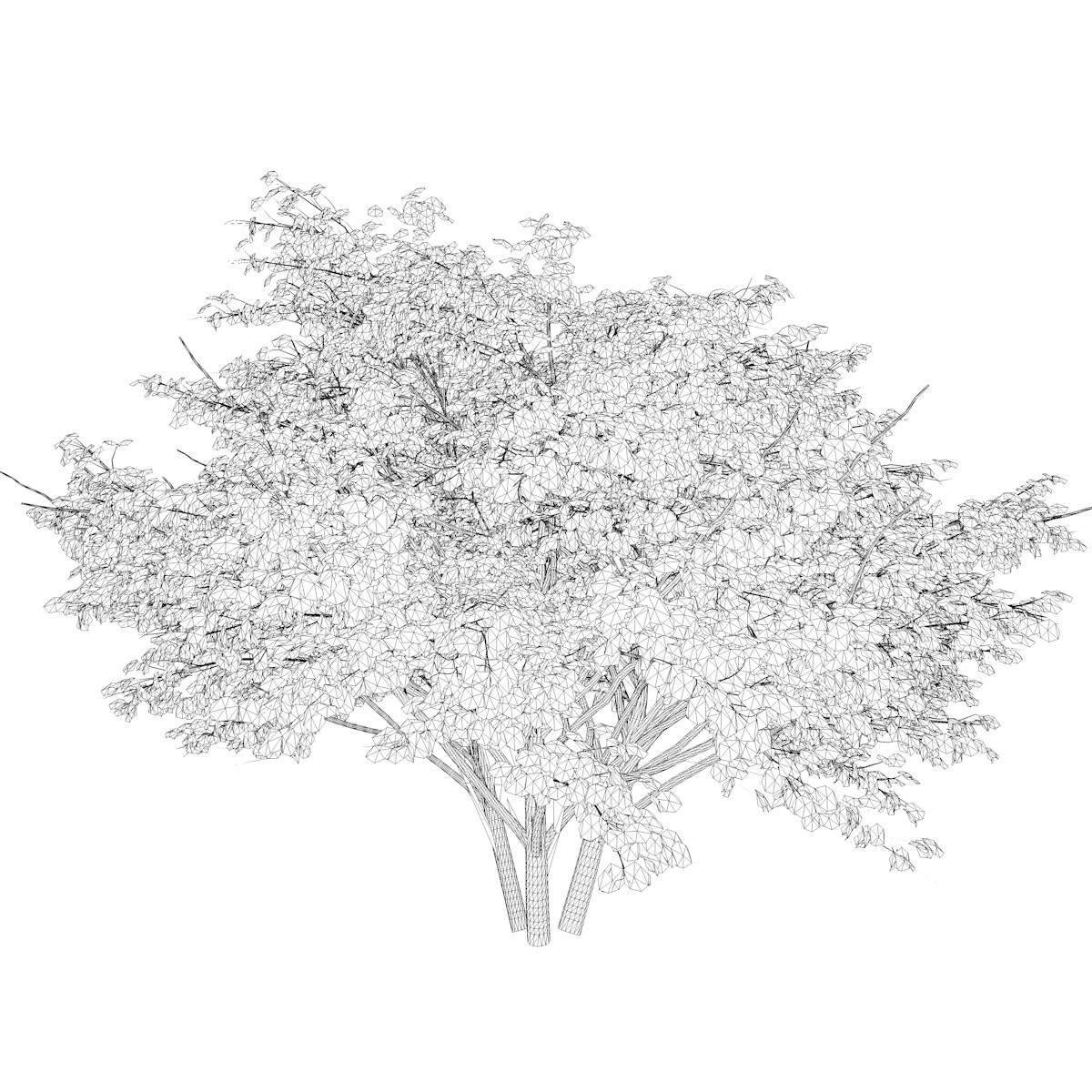 ArtStation - Kousa Dogwood Tree #07 - High Poly Tree (3D Model) | Game ...