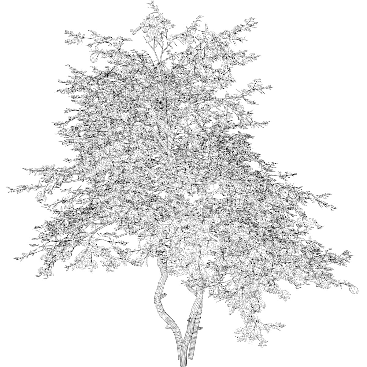 ArtStation - Lemon Tree #01 - High Poly Tree (3D Model) | Game Assets