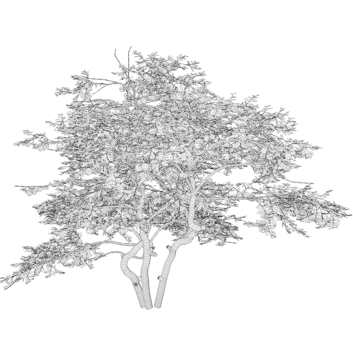 ArtStation - Lemon Tree #07 - High Poly Tree (3D Model) | Game Assets