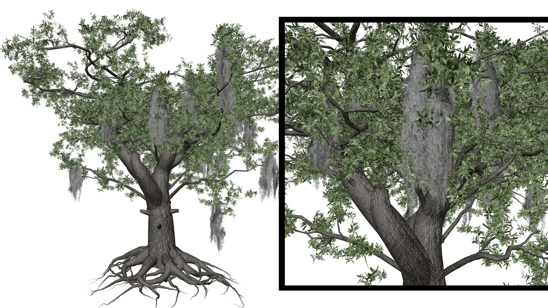ArtStation - Live Oak Tree #01 - High Poly Tree (3D Model) | Game Assets