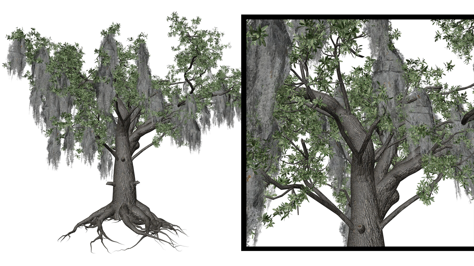 ArtStation - Live Oak Tree #02 - High Poly Tree (3D Model) | Game Assets