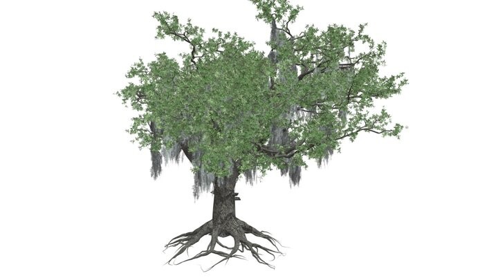 ArtStation - Live Oak Tree #07 - High Poly Tree (3D Model) | Game Assets