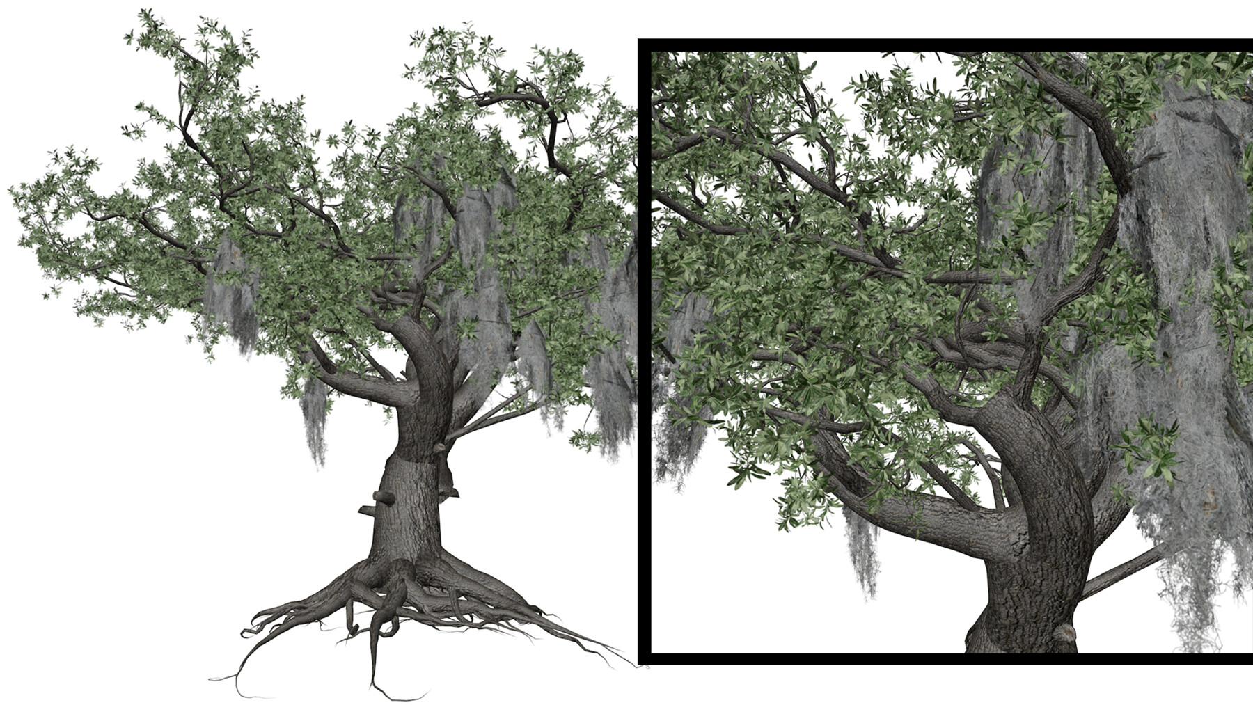 ArtStation - Live Oak Tree #08 - High Poly Tree (3D Model) | Game Assets